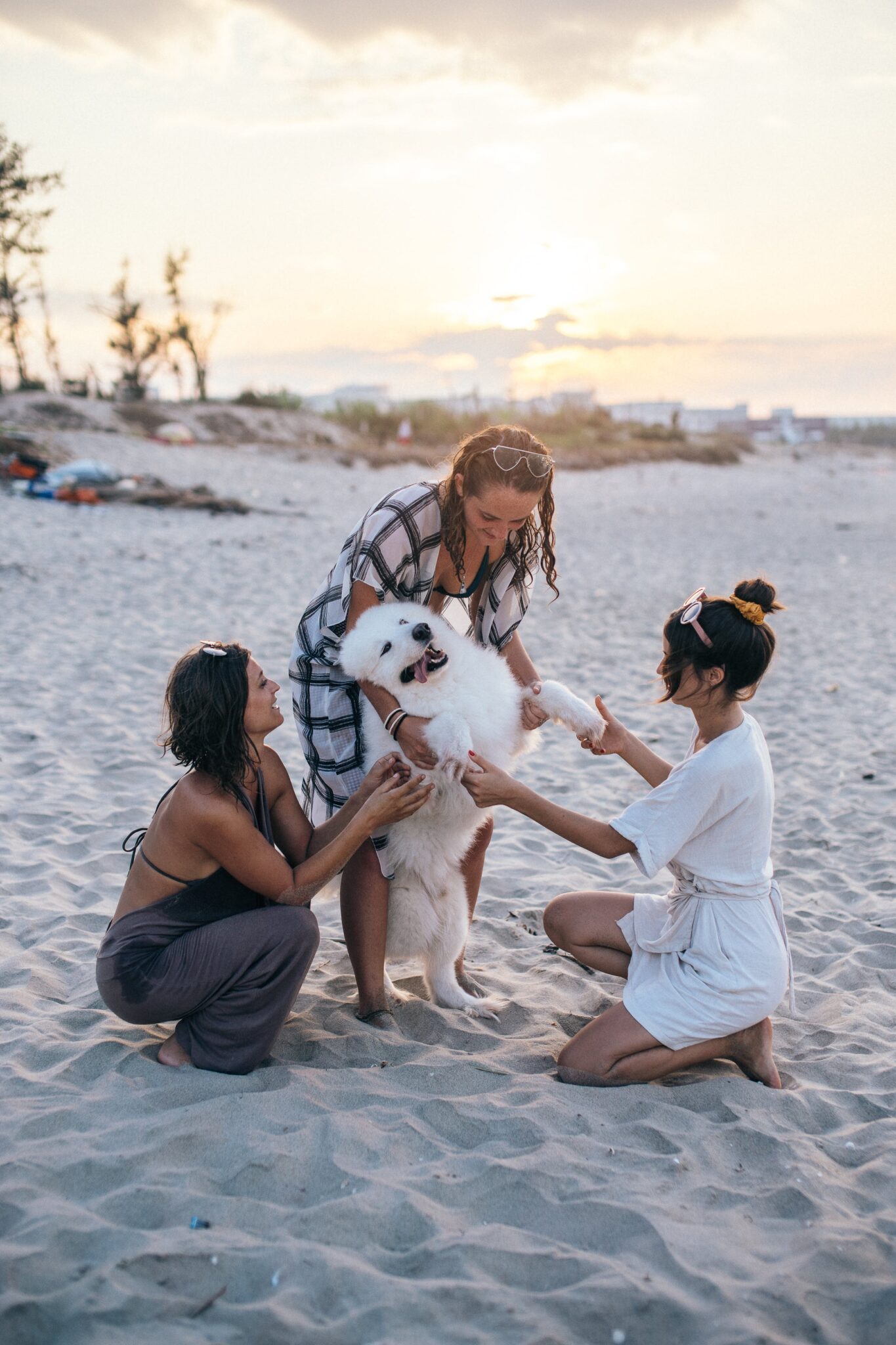 Be Pawsitive And Welcome A Fur Baby? - LIVING * JOYOUSLI