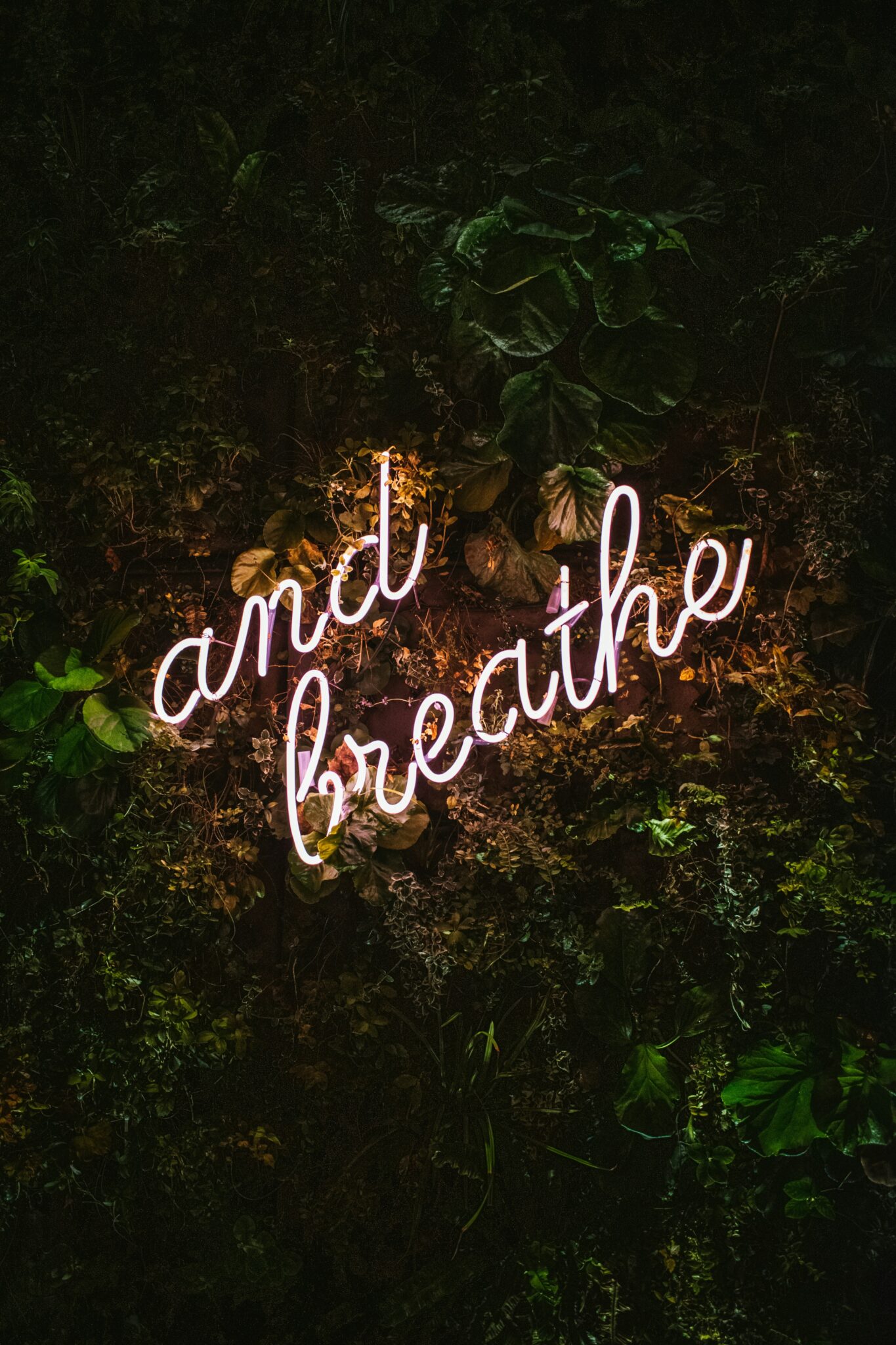 Why I Don't Argue with Closed-Minded People - LIVING * JOYOUSLI